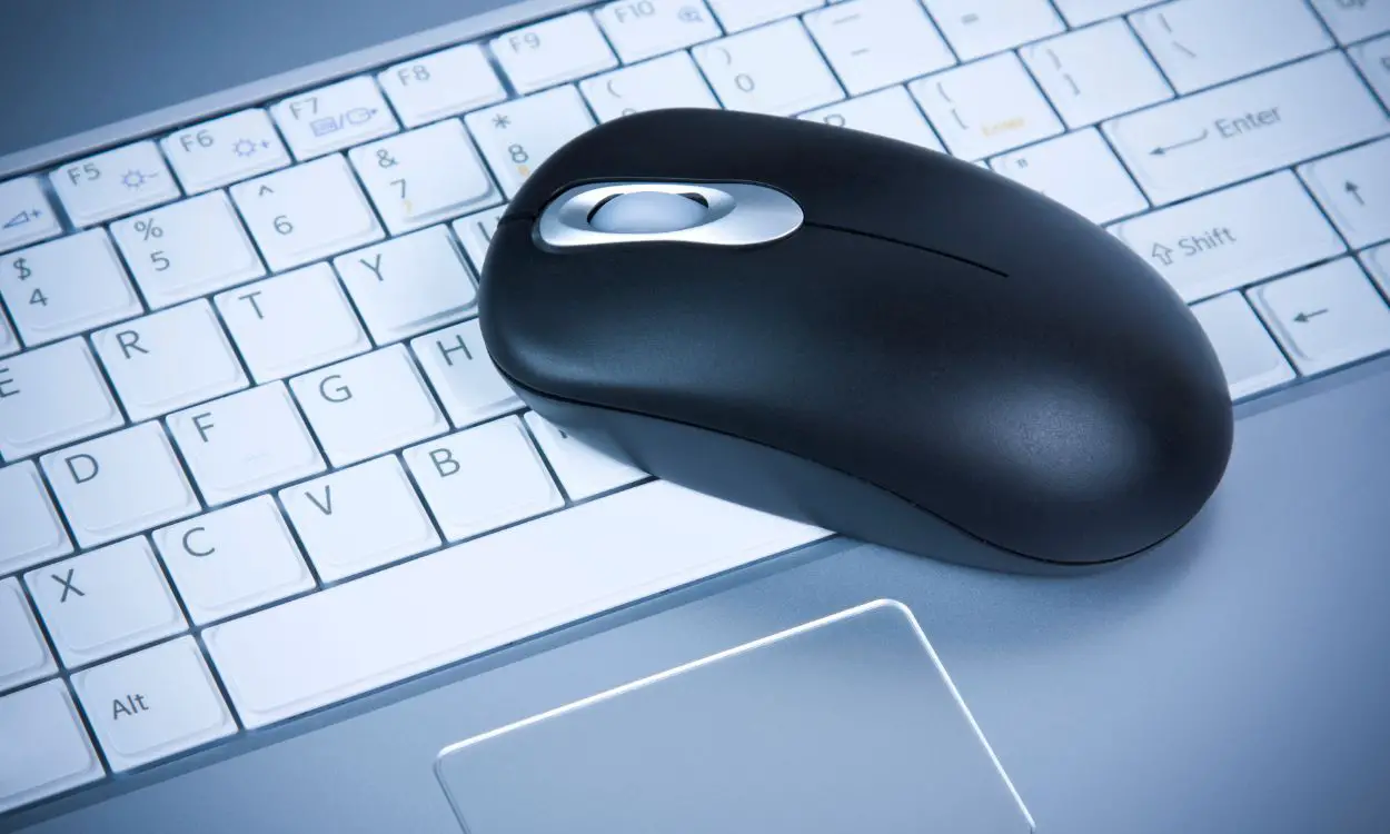 Why Is My Wireless Mouse Not Connecting Mouse Radar